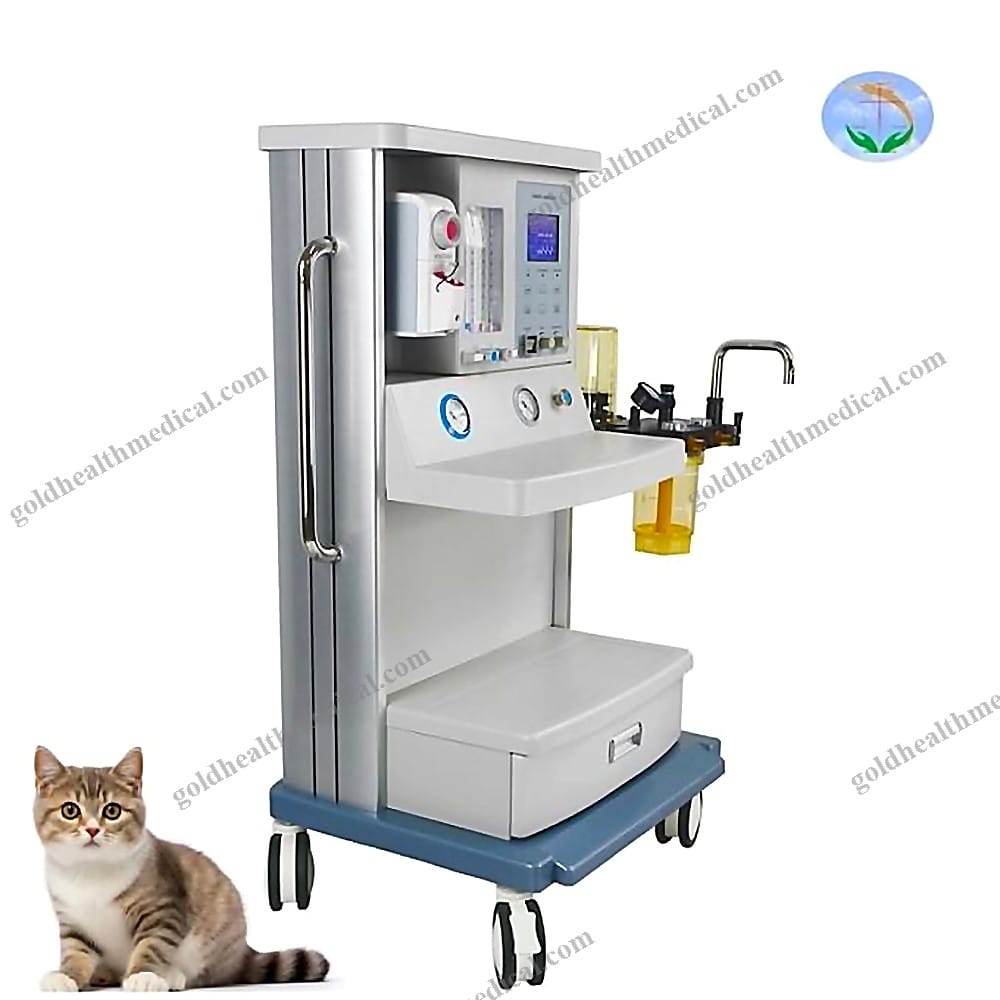 VET Multiparameter Dental Anesthesia Machine with Touch Screen ...